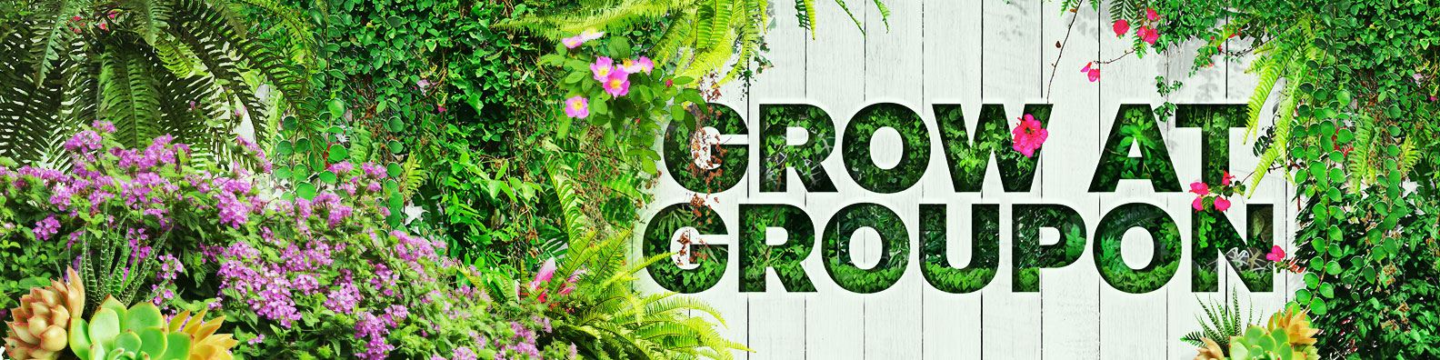 Groupon Jobs Introduce Yourself